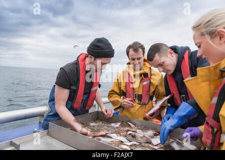 Research scientists measuring fish on research ship Stock Photo - Alamy