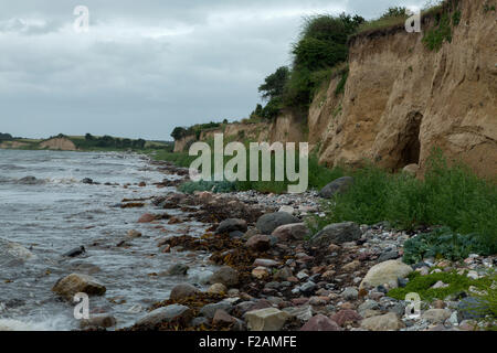 Sea cliffs of boulder clay in front of beaches. Clay Cliffs and Beach ...