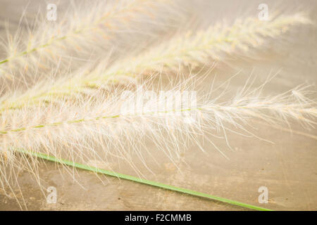 Simple decorate of creative work table, stock photo Stock Photo - Alamy