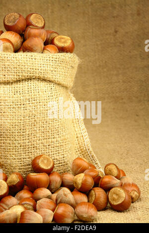 Fresh Whole Hazelnut in Nutshell on White Background, isolated Stock ...