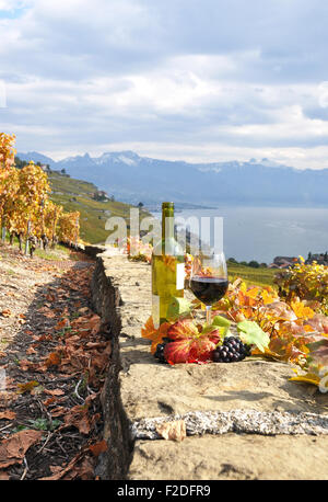 Vineyards in Lavaux region, Switzerland Stock Photo - Alamy