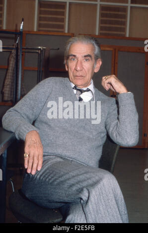 Der Schweizer Schauspieler Lukas Ammann am Telefon, Deutschland 1970er ...