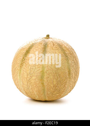 Close up on Charentais Melon growing in a greenhouse garden in rural ...