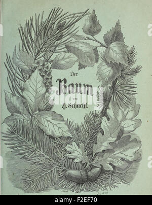 A German work from 1860 titled 'The Tree,' exploring various species of ...