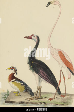 A classic natural science dictionary, detailing the definitions ...