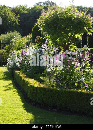 Herbaceous border with hedge and lawn. Lush flower beds in the summer ...