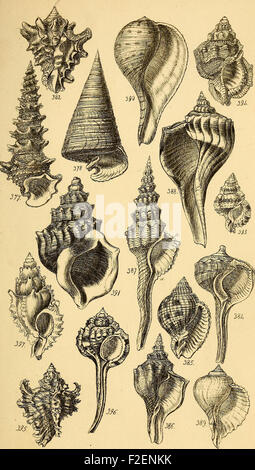 An in-depth study of conchology, the science of shells, providing ...