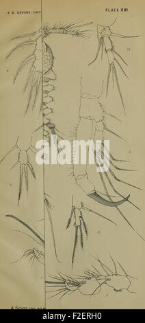 This 1904 publication provides notes on rare and noteworthy marine ...