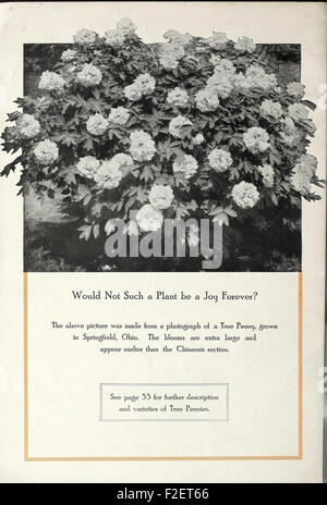 *Peonies for Pleasure* is a horticultural guide detailing the ...