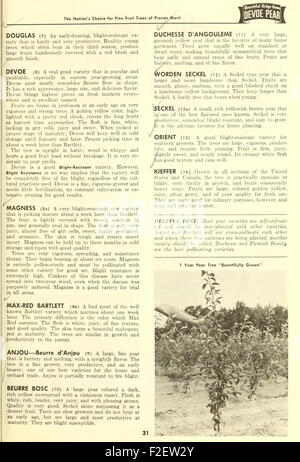 This vintage planting guide offers practical advice for planting fruit ...