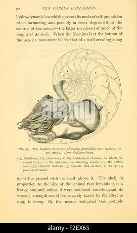 'Sea Fables Explained' explores the folklore surrounding the ocean ...