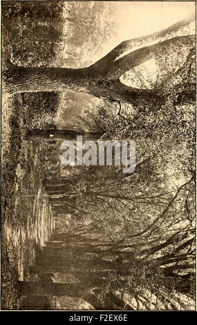 The 1905 publication documenting the early history of Baltimore Town ...