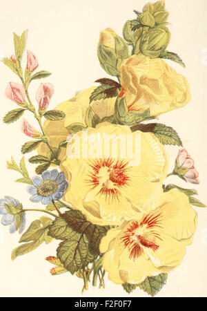 'The Language of Flowers' (1869) explores the symbolic meanings of ...