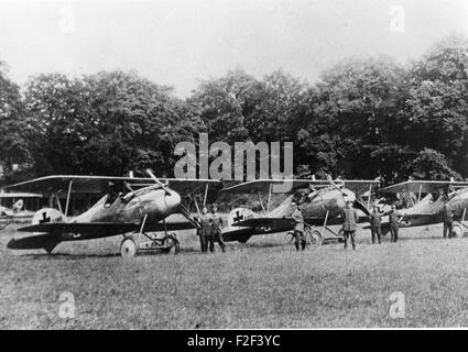 The Albatross D.V was a German fighter aircraft used during World War I ...