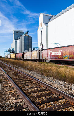 train loading grain at "grain elevator Stock Photo - Alamy