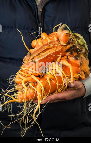 Deformed waste food, vegetable produce discarded after processing for ...