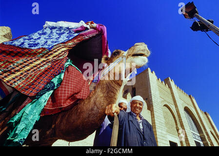 A camel with a howdah carriage outside the Great Mosque at Kairouan ...