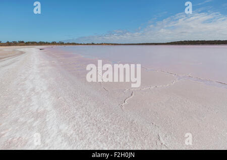 Pink Salt Lake Becking Landscape. Murray-Sunset National Park, Victoria ...