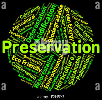 Environmental Conservation Meaning Conserving Protection And Conserve ...