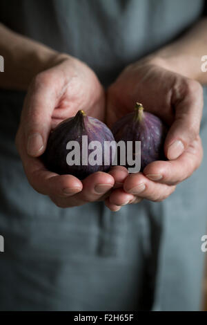 Close up of fresh figs Stock Photo - Alamy