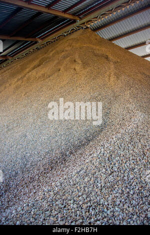 Almond Hulls ready to sell Stock Photo - Alamy