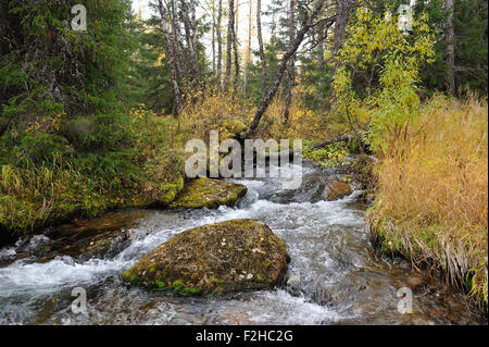 River of ural mountains. Sub-polar Ural Stock Photo - Alamy