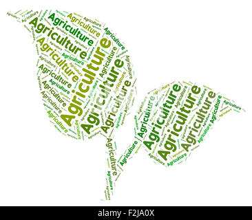 Farms Word Indicating Farmland Words And Cultivate Stock Photo - Alamy