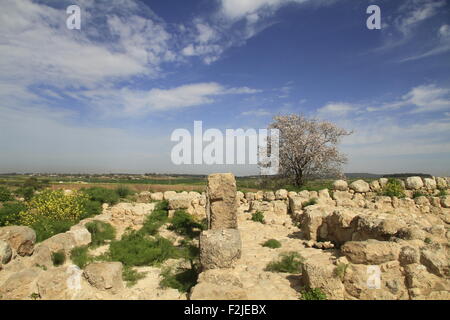 Israel, Tel Batash in the Shephelah, site of the Biblical city Timnah ...