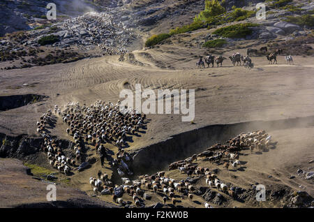 Urumqi. 17th Sep, 2015. Photo taken on Sept. 17, 2015 shows herdsmen ...