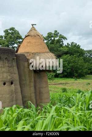 Traditional Tata Somba / Somba houses with thatched roofs and granaries ...