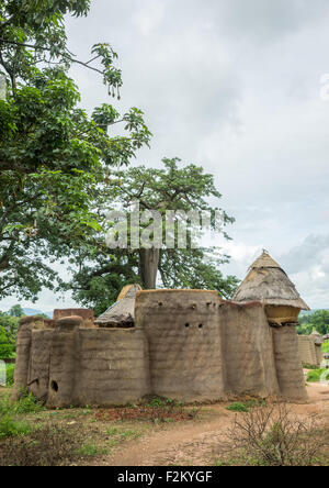Traditional Tata Somba / Somba houses with thatched roofs and granaries ...