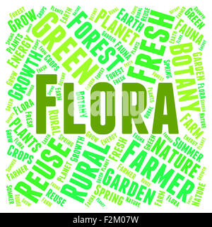 Vegetation Word Meaning Plant Life And Botany Stock Photo - Alamy