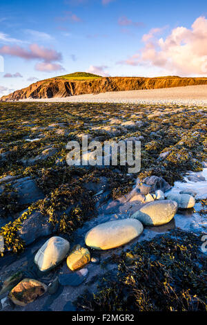 Cornborough Range and Abbotsham Cliff on the North Devon Coast near ...
