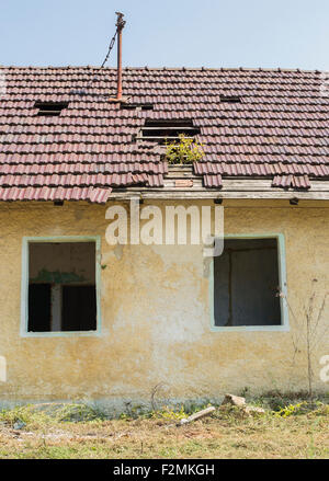 The interior of an abandoned house with no roof, exposing the remnants ...