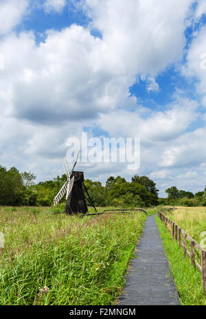 Windmill Through the Reeds Stock Photo - Alamy