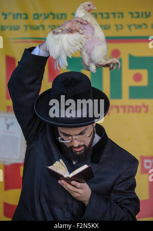 An ultra Orthodox Jewish man waves a chicken over his head during the ...