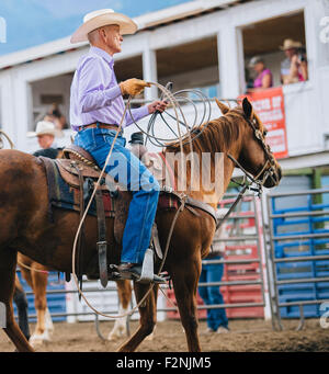 Rodeo cowboy on horseback competing in calf roping, or tie-down roping ...