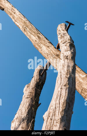 Wooden part of shadoof (water well, well pole, well sweep, sweep ...