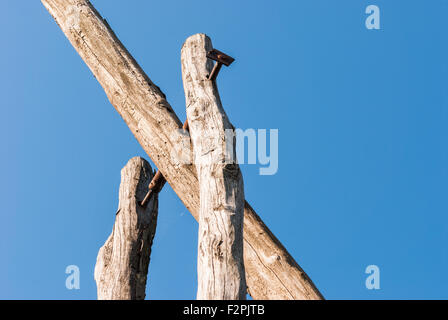 Wooden part of shadoof (water well, well pole, well sweep, sweep ...