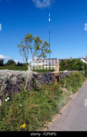 Wenvoe Mast, Cardiff, Wales, UK Stock Photo - Alamy