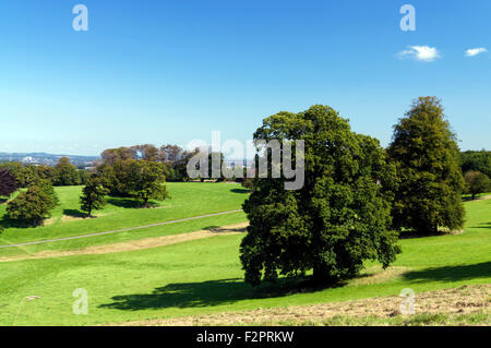 Coedarhydyglyn, Vale of Glamorgan, South Wales, UK Stock Photo - Alamy