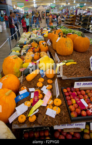 Hutchinson, Kansas 9-12-2015 Table full gourds and vegetables on ...