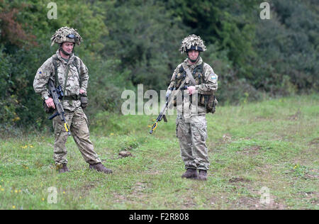 British Army soldiers during exercise, Britain, UK Stock Photo - Alamy