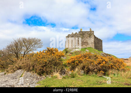 Castle Tioram, Scotland Stock Photo - Alamy