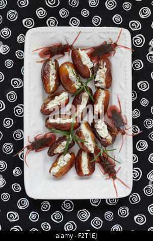 Stuffed roach. Dates with cheese, nuts and herbs for Halloween Stock ...