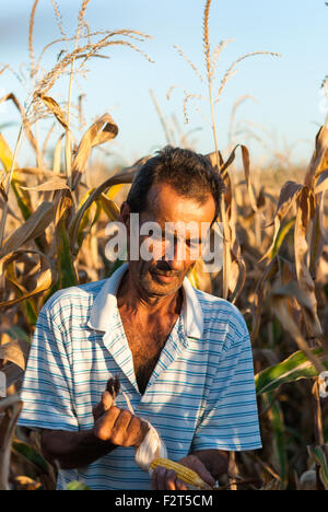 Outdoor portrait of Romanian farmer at harvest corn on his field at ...