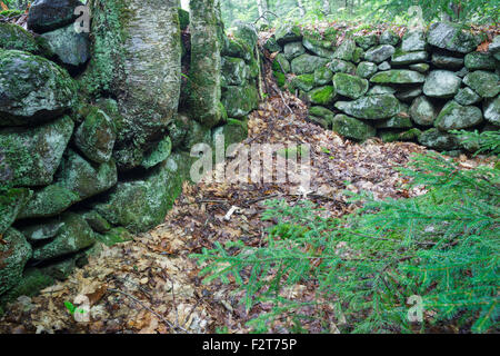 The Meader Farm home site cellar hole along Sandwich Notch Road in ...