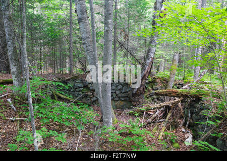 The Atwood Place home site cellar hole along Sandwich Notch Road in ...