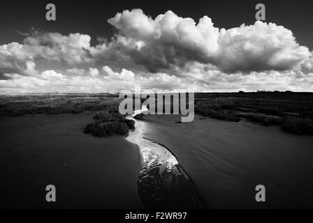 Coastal marshes near Steart Point. Steart Marshes. Somerset. UK Stock ...