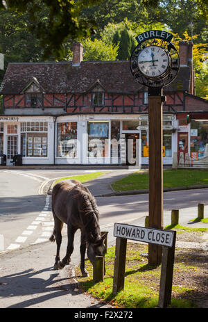 Burley village in the New Forest Stock Photo - Alamy